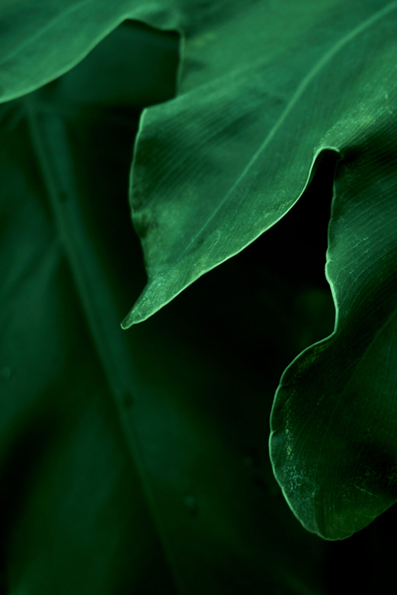 Sustainability - Pulp-Tec